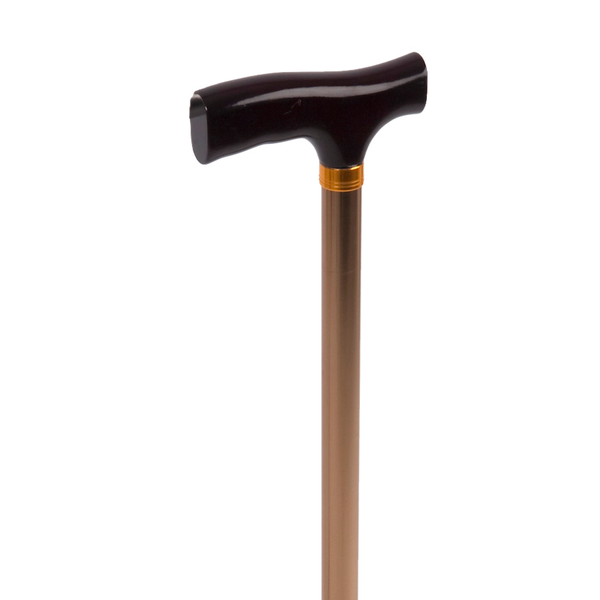 Walking Stick T-Handle - Goldfern – Livingwell Disability Resource Centre